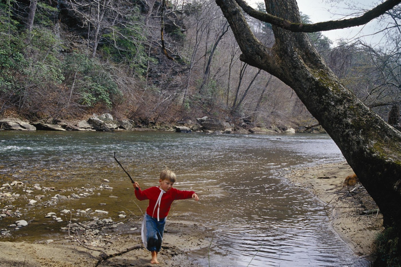 Protecting the Dan River - Piedmont Land Conservancy