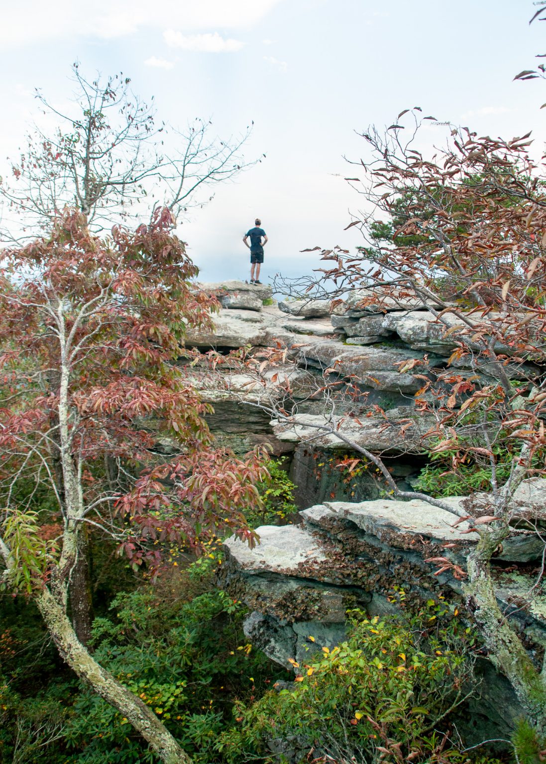 Our Trail Coordinator’s 10 Favorite Trails - Piedmont Land Conservancy