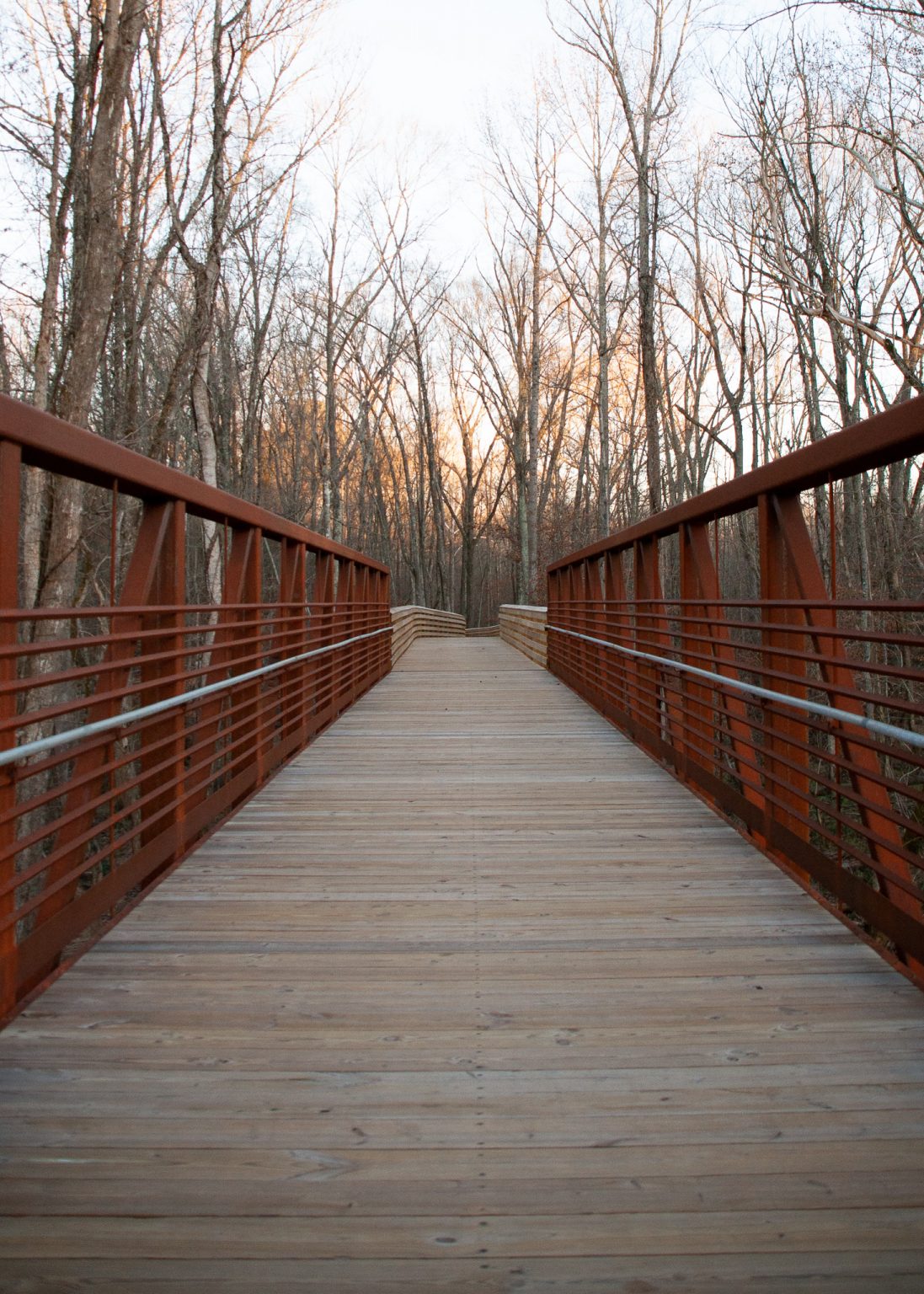 Our Trail Coordinator’s 10 Favorite Trails - Piedmont Land Conservancy