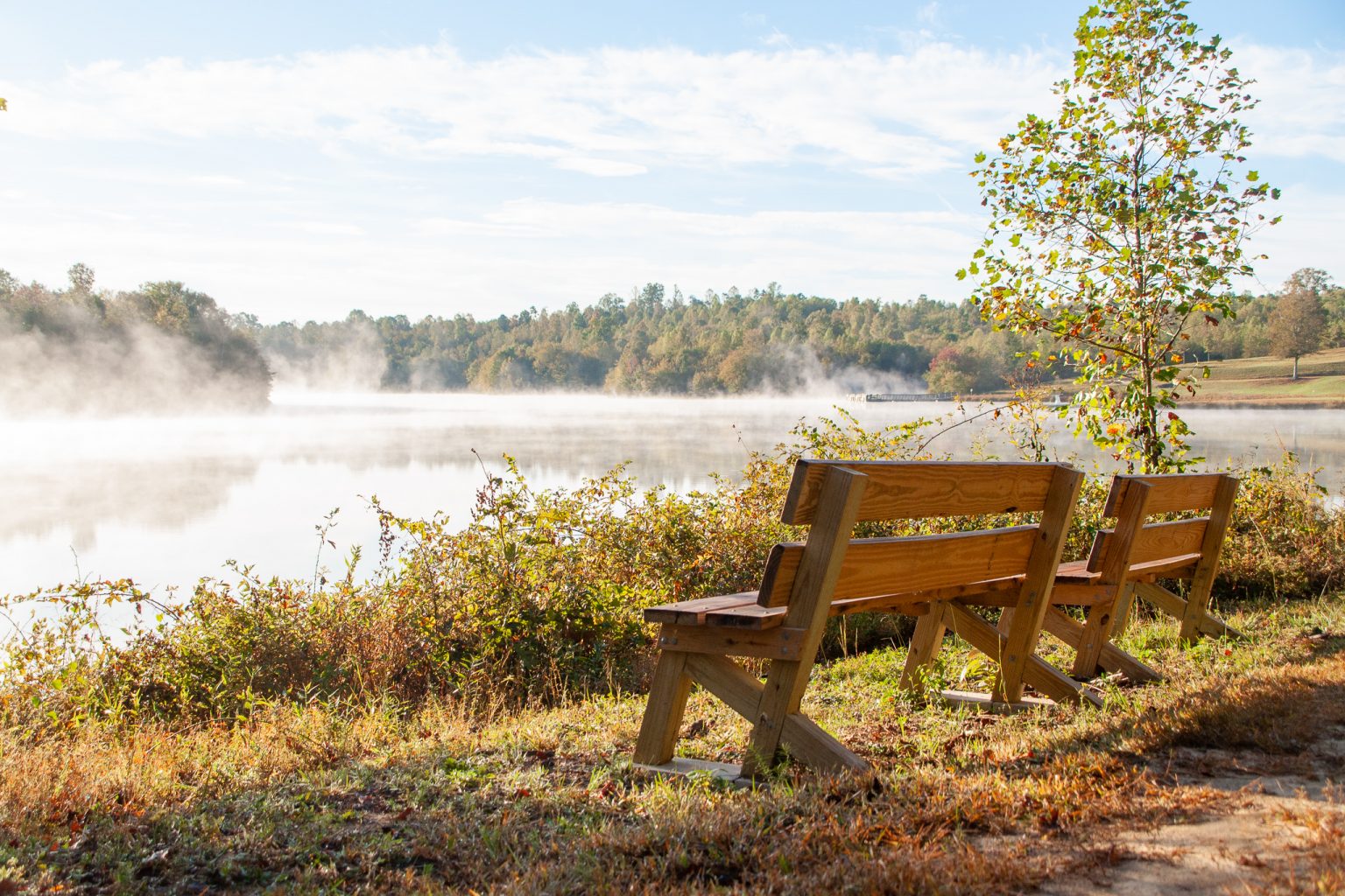 Trails on PLC Protected Land - Piedmont Land Conservancy
