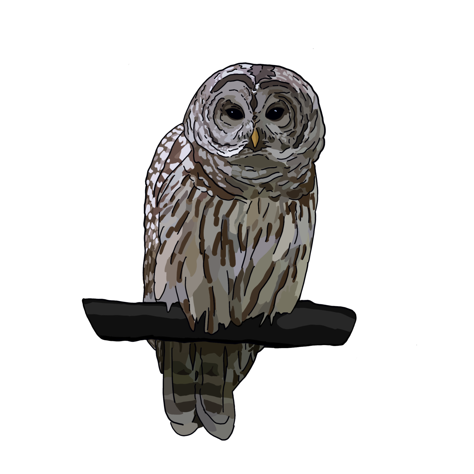 Stuart & Emma Thomas Memorial Trail Supporters - Piedmont Land Conservancy