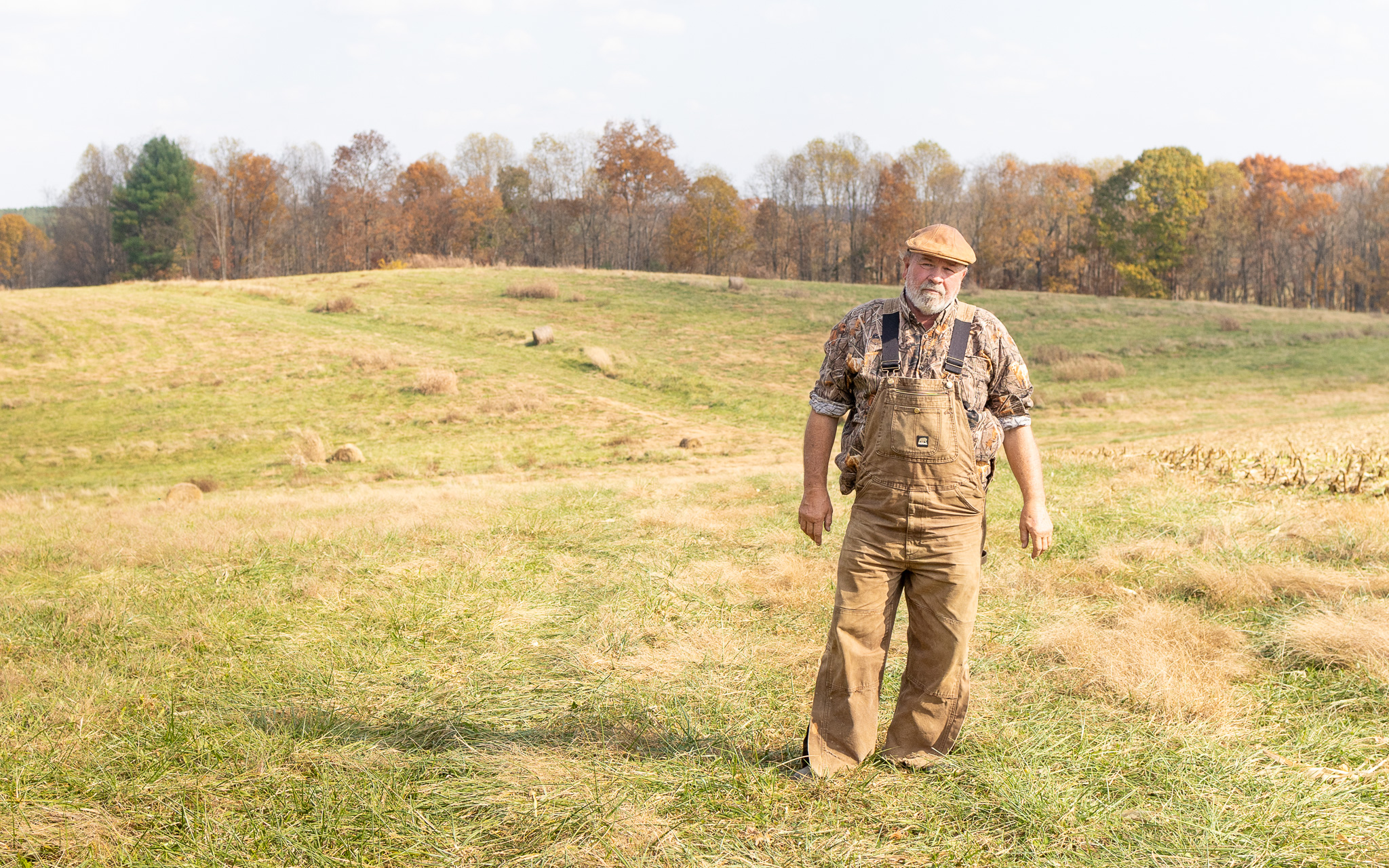 Quail Hill Farm: 178 Acres Protected along the Mitchell River ...