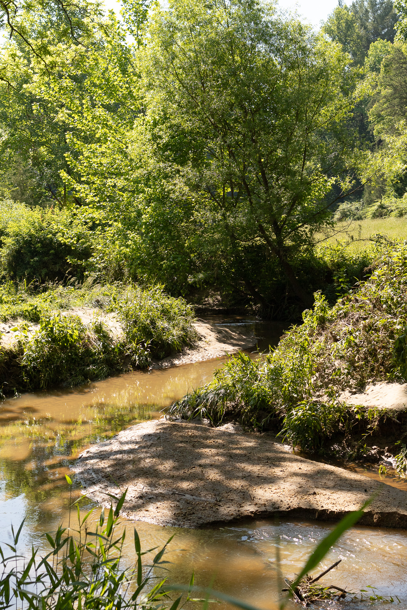 Bashavia Creek Preserve Vision | Piedmont Land Conservancy