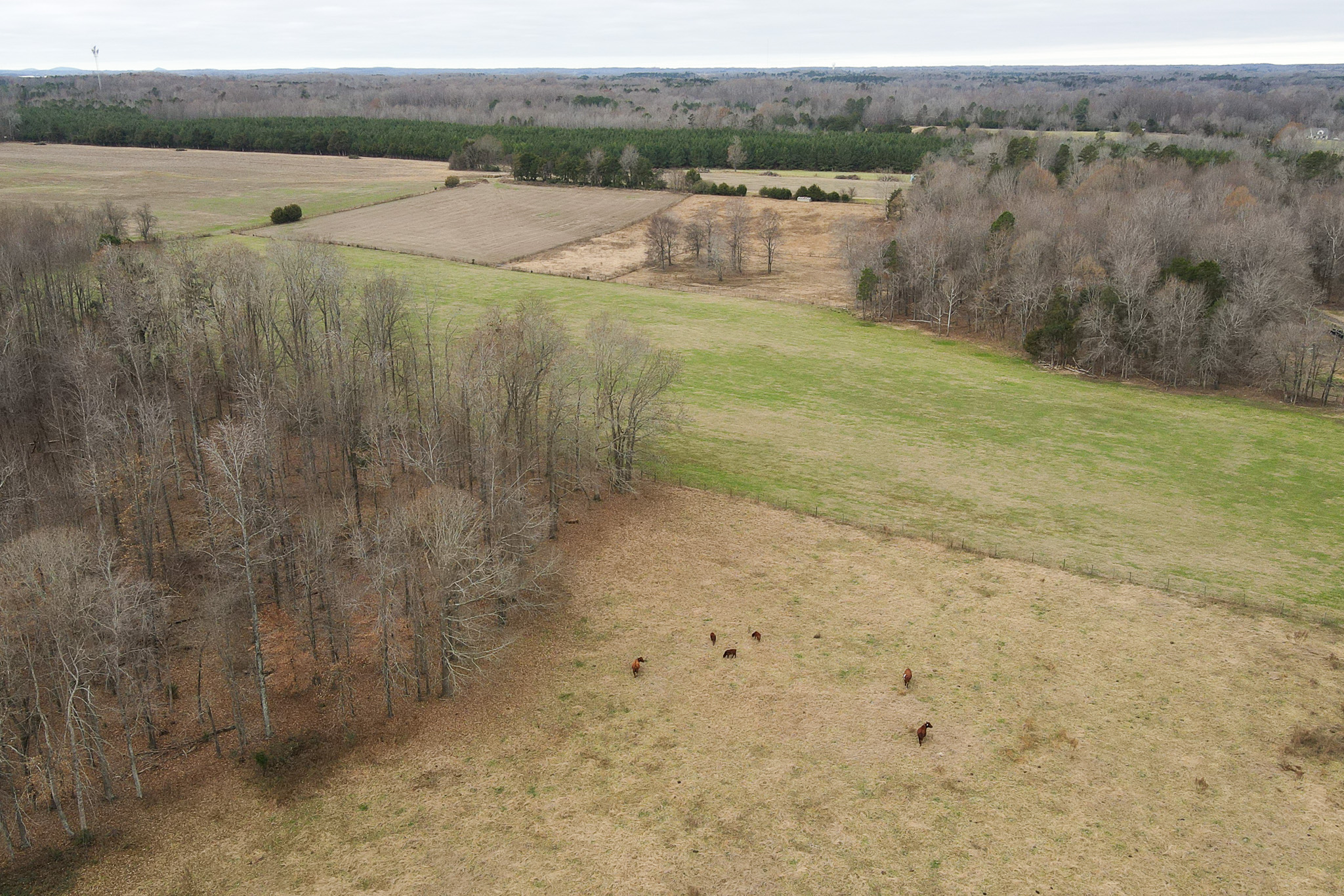 Farmland Conservation Meets Industrial Development - Piedmont Land ...