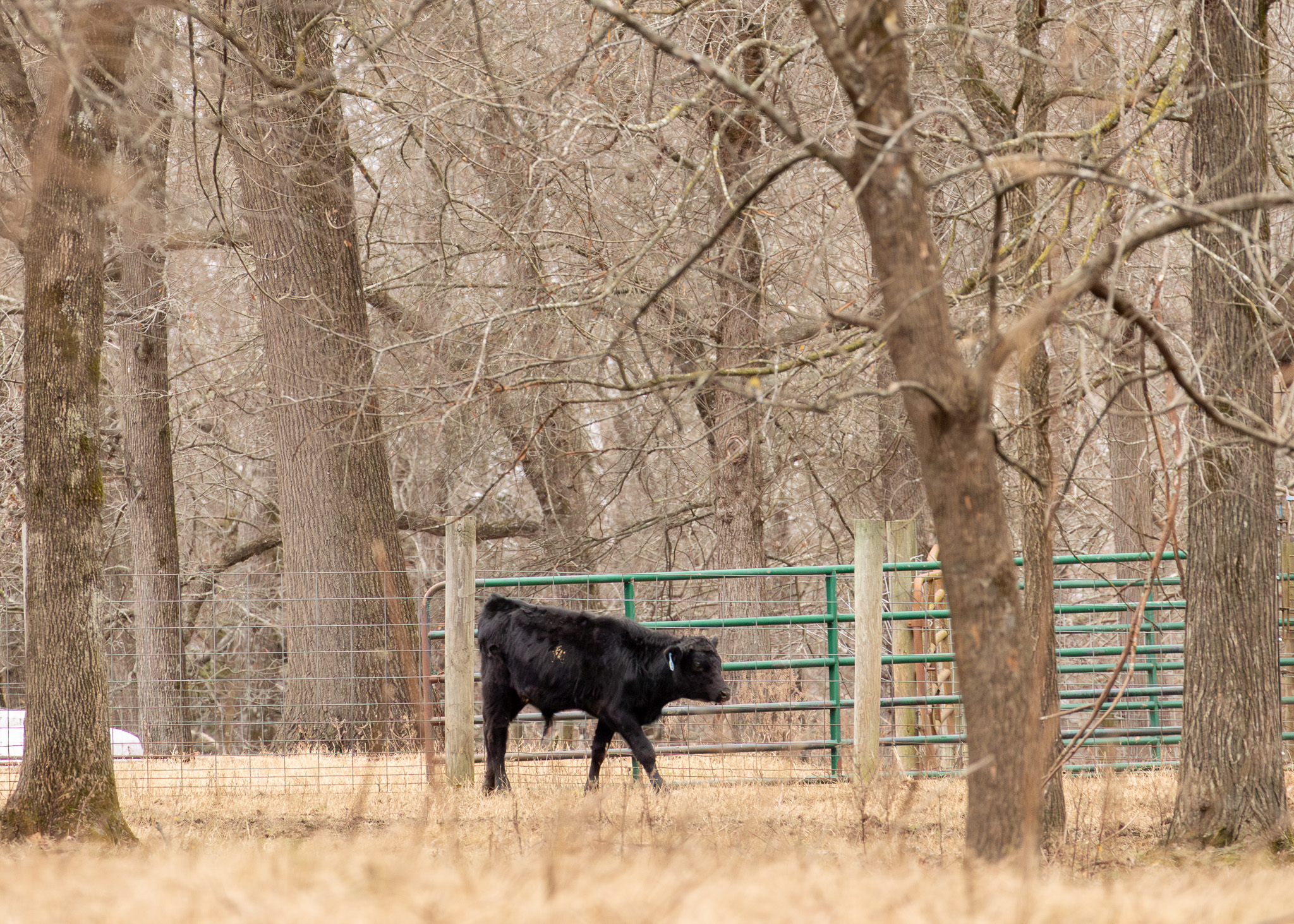 Farmland Conservation Meets Industrial Development - Piedmont Land ...
