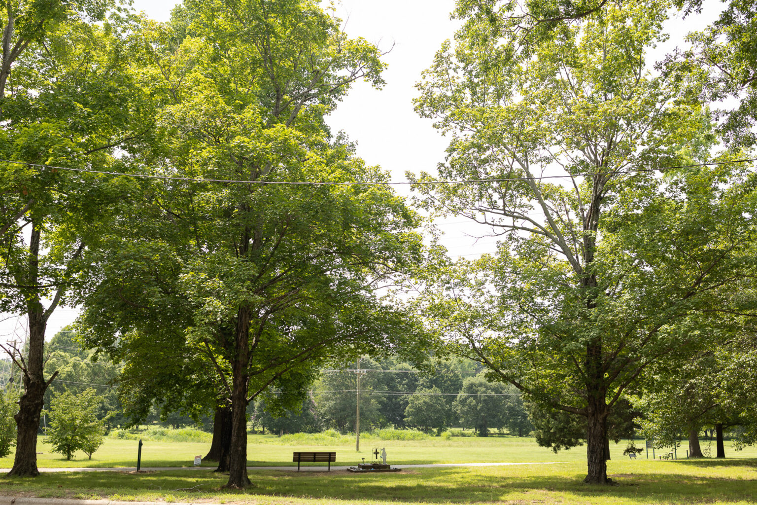 Our New Office - Piedmont Land Conservancy